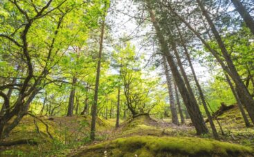 世界殯儀館 – Universal Funeral